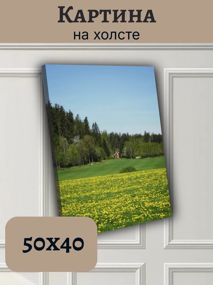 Картина Постер Швеция Sweden 40x50 летний