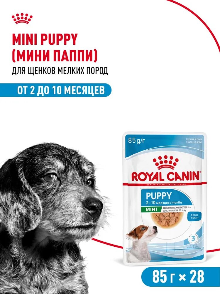 Влажный корм для щенков мелких пород Royal Canin Mini Puppy, кусочки в соусе, 85 г х 28 шт