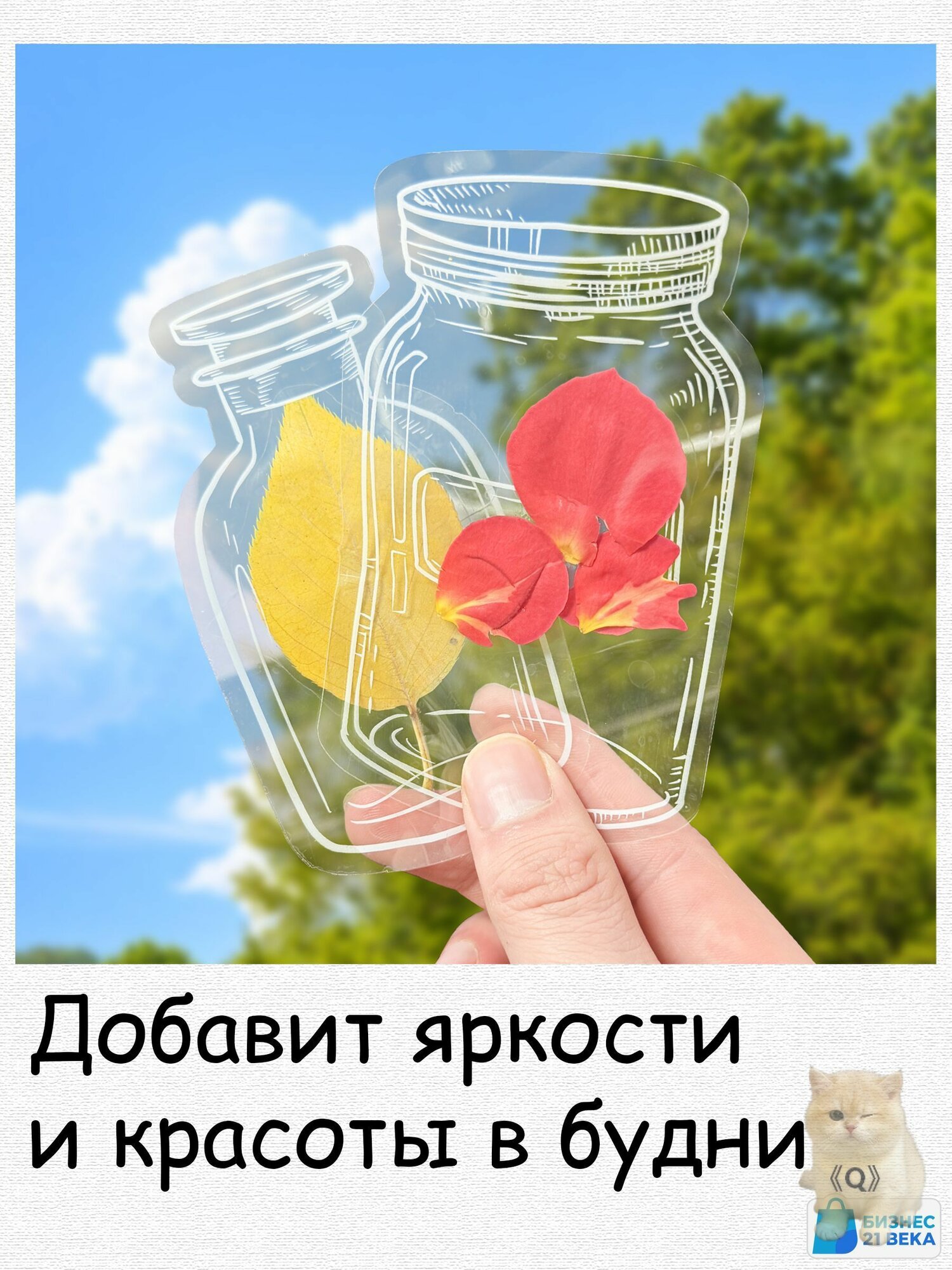 Альбом Гербарий — фото 1