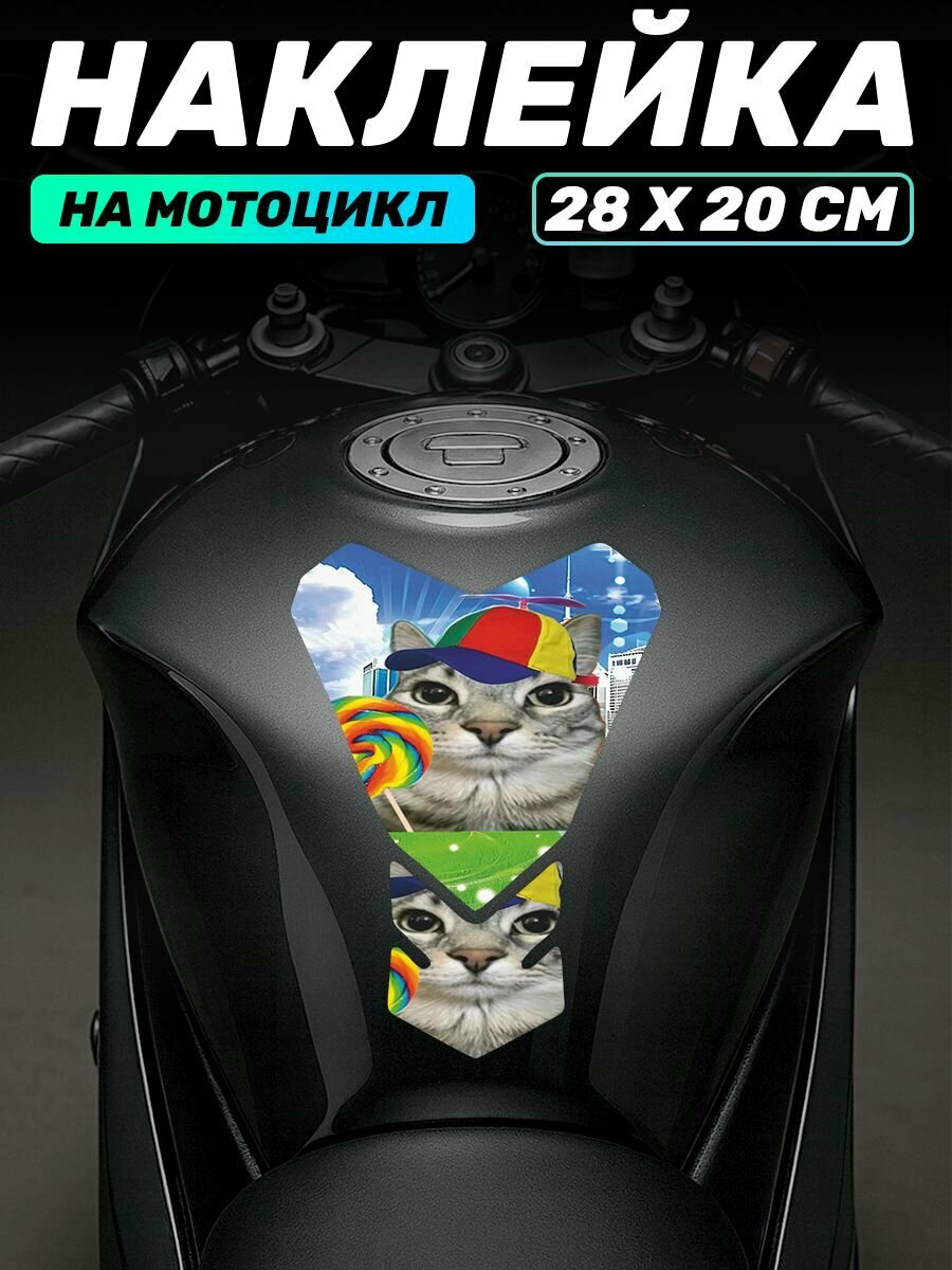 Наклейка на мотоцикл на бак кот мем тик ток