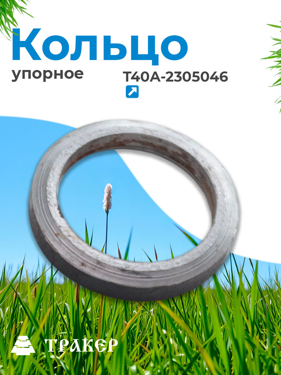 Кольцо Т40А-2305046 упорное для Т-40