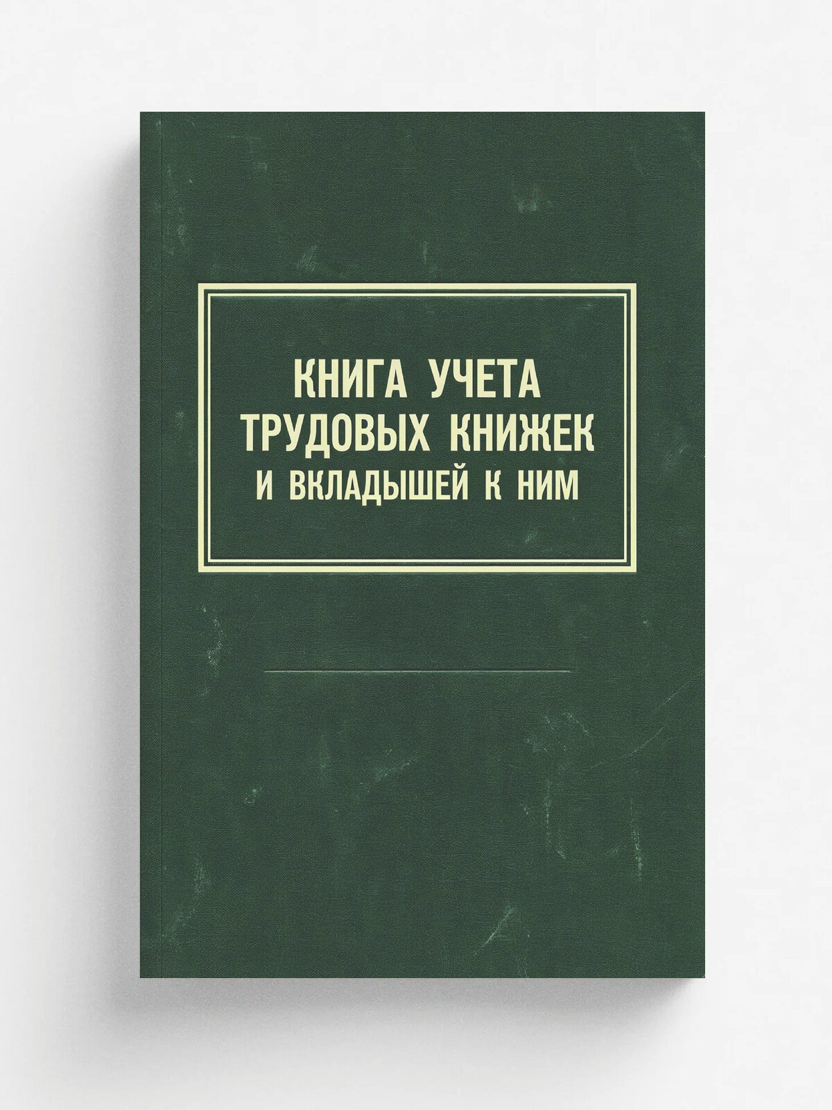 Книга учета трудовых книжек и вкладыщей к ним, дизайн: "Ментранпаж", 100 страниц. Оформлена по стандарту, разлинована