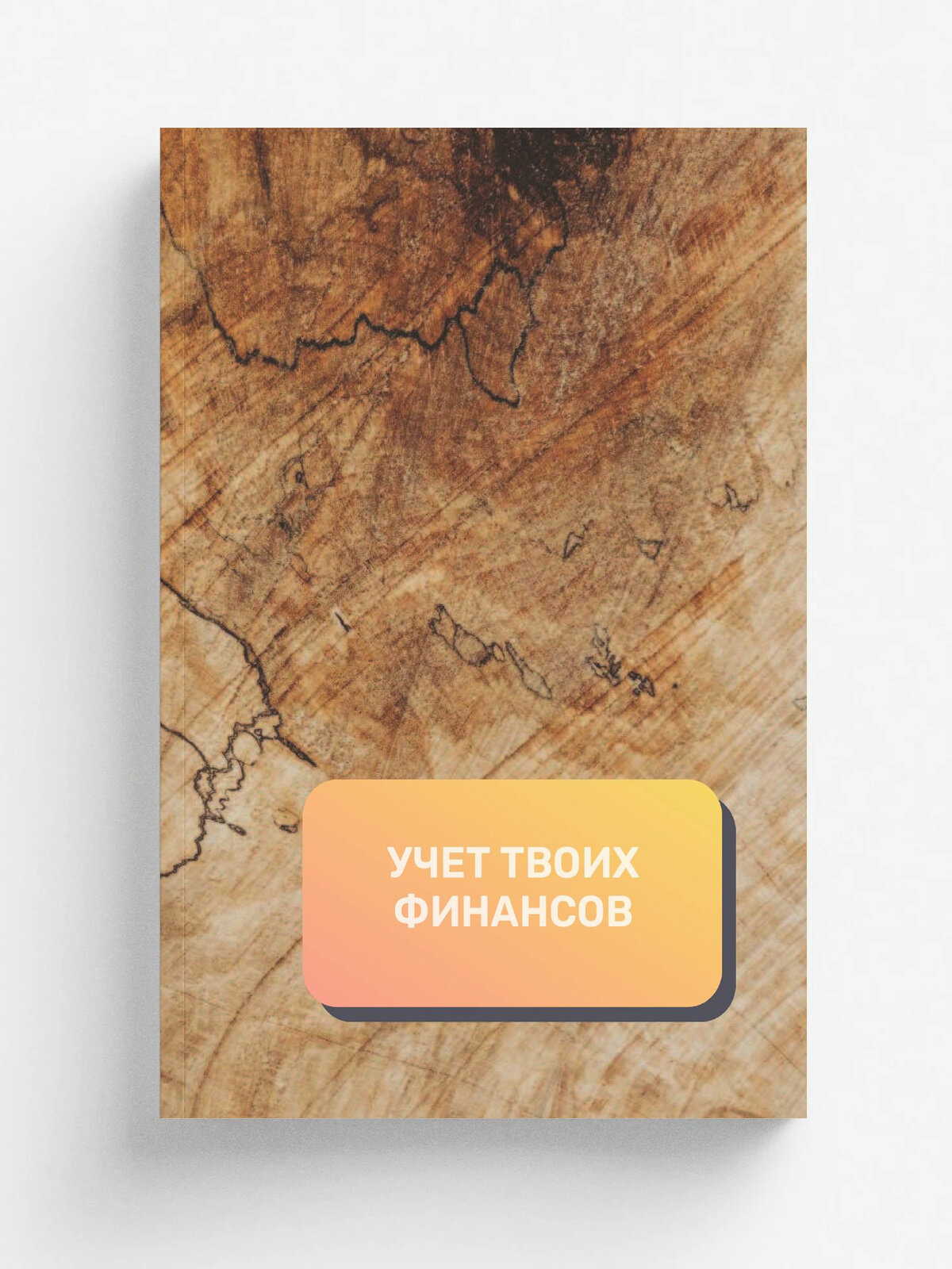 Учет твоих финансов
