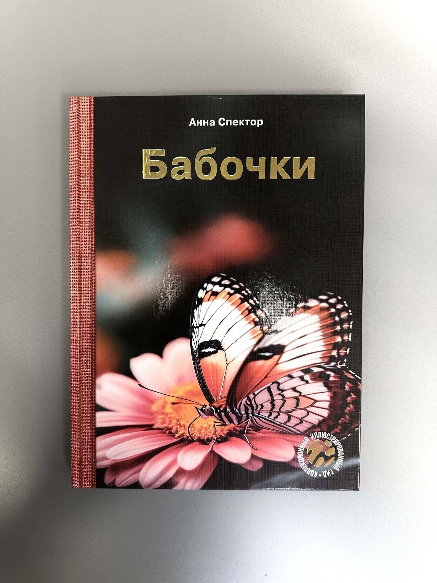 Бабочки — фото 1