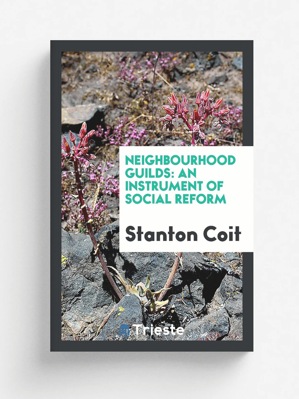 Neighbourhood Guilds. An Instrument of Social Reform