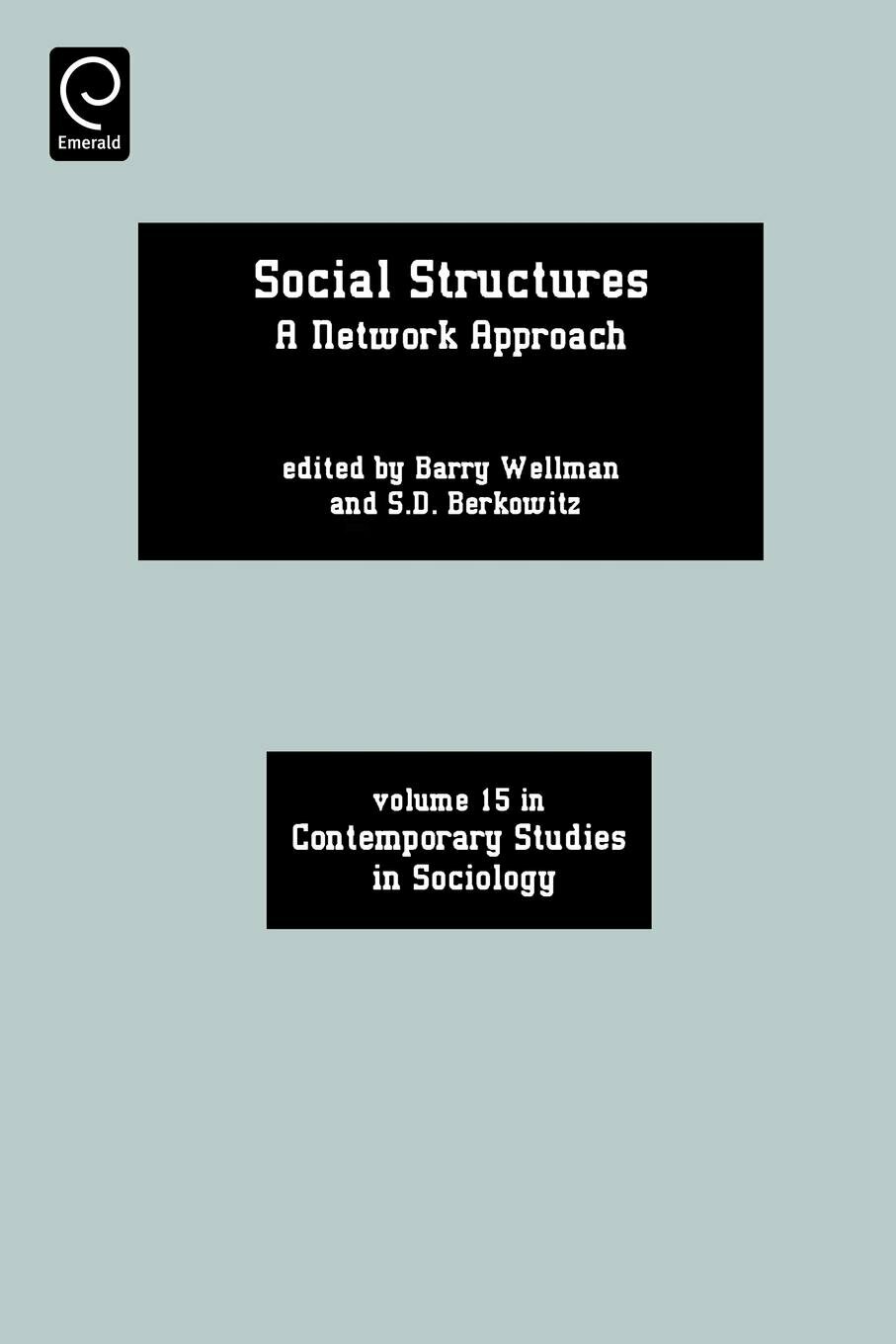 Social Structures. A Network Approach — фото 1