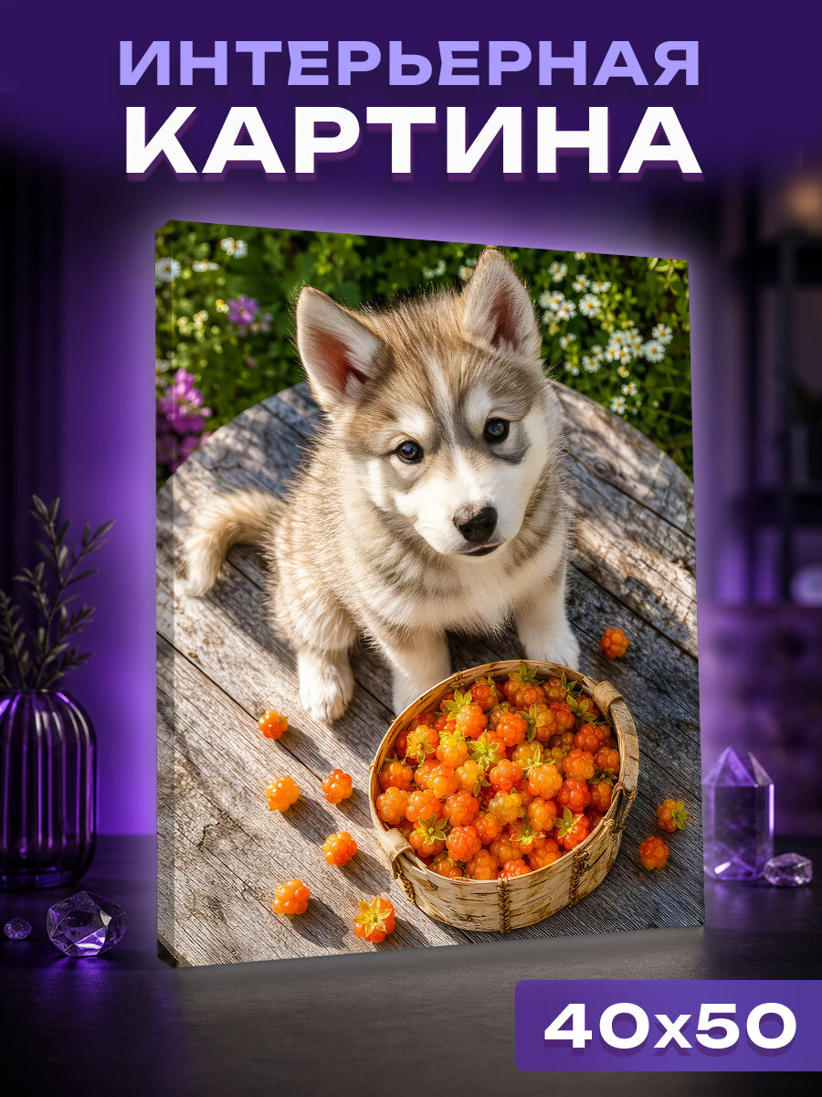 Интерьерная картина Щенок лайки на веранде у короба морошки