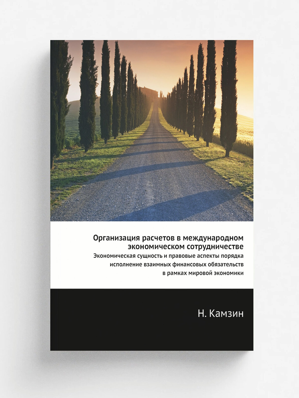 Организация расчетов в международном экономическом сотрудничестве