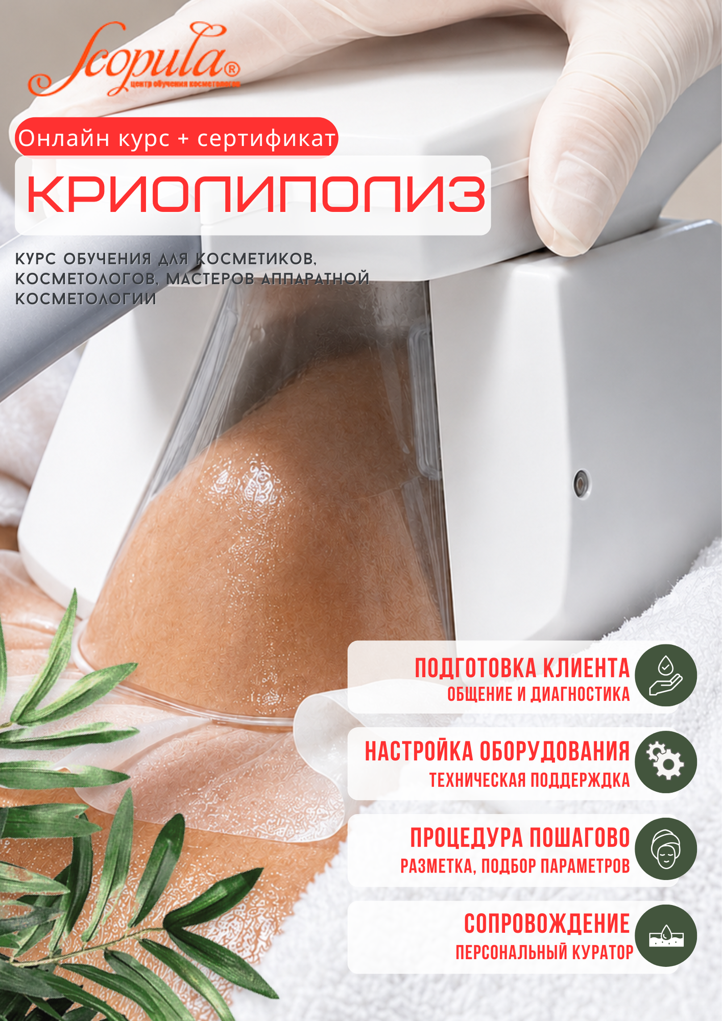 "Криолиполиз": онлайн-курс с сертификатом. Теория и практика. 10 ак. ч