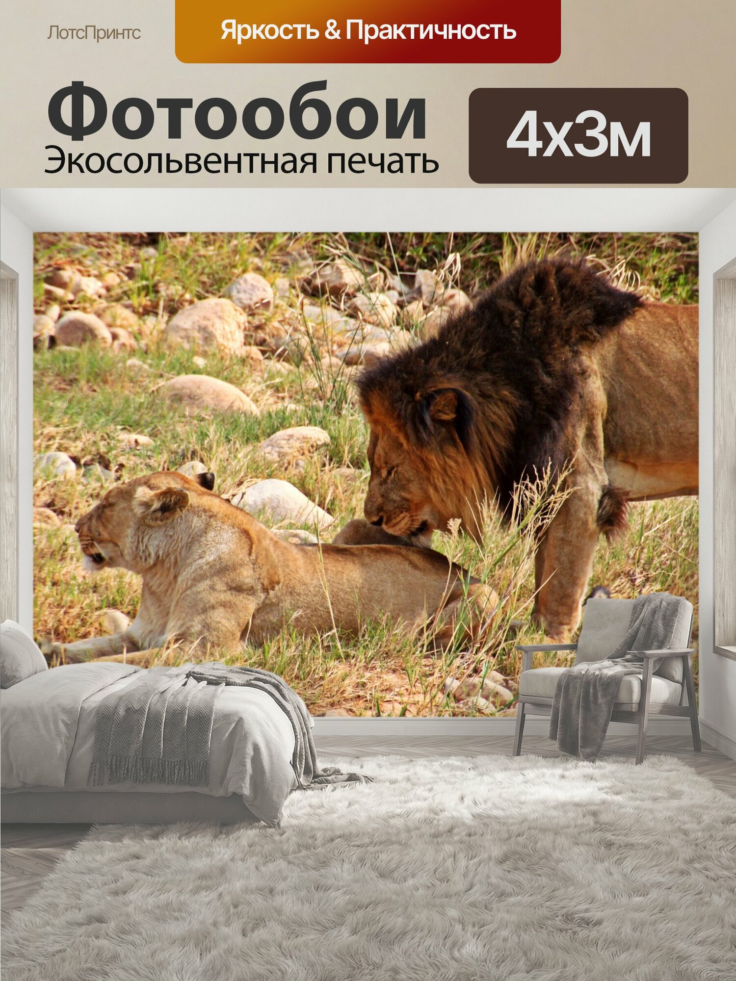 Фотообои "Лев, львица, мало" 400x300 см. экосольвентная печать