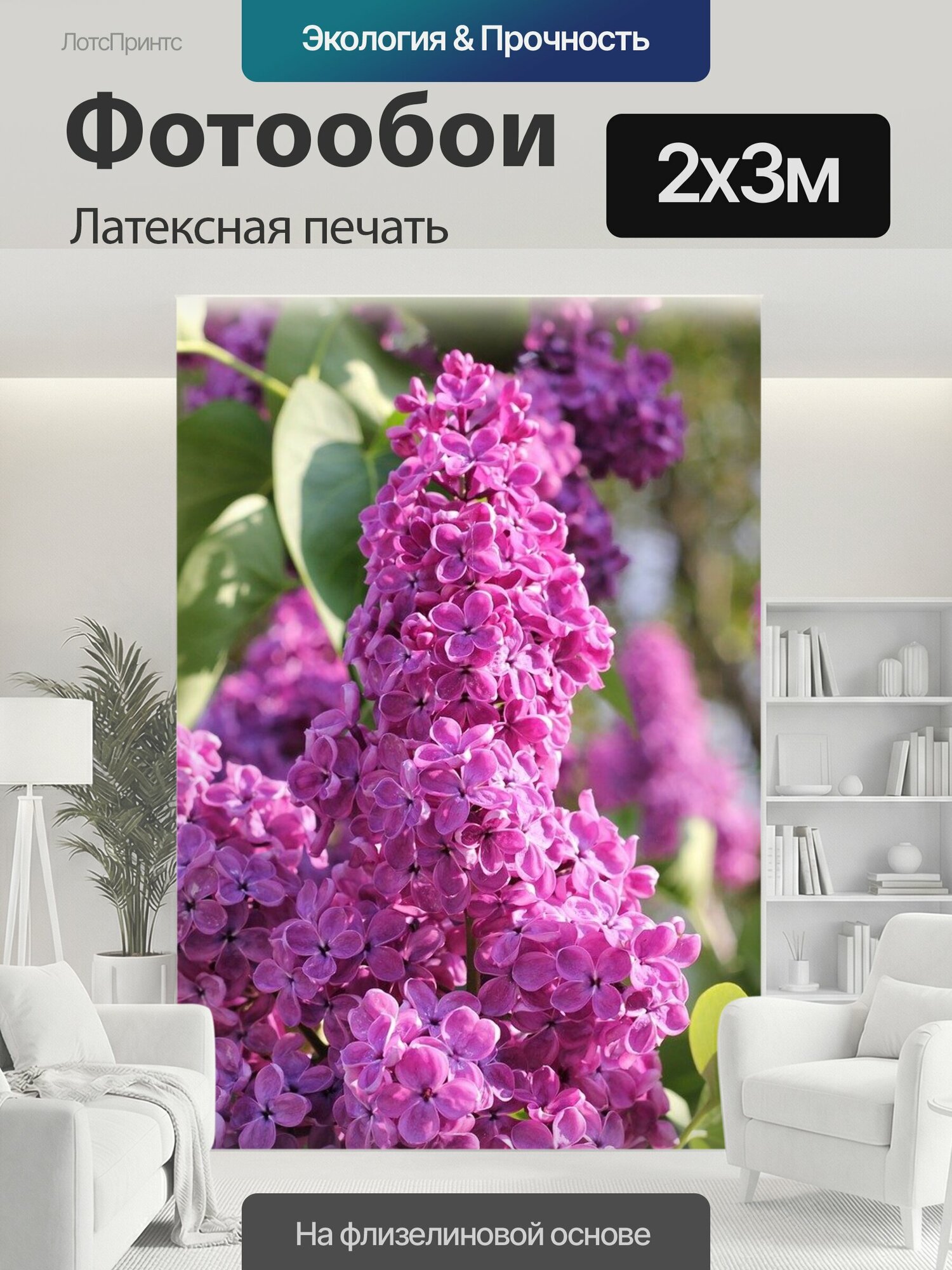 Фотообои моющиеся ударопрочные "Сирень обыкновенная, syringa vulgaris, фиолетовый" 200x300 см. латексная печать