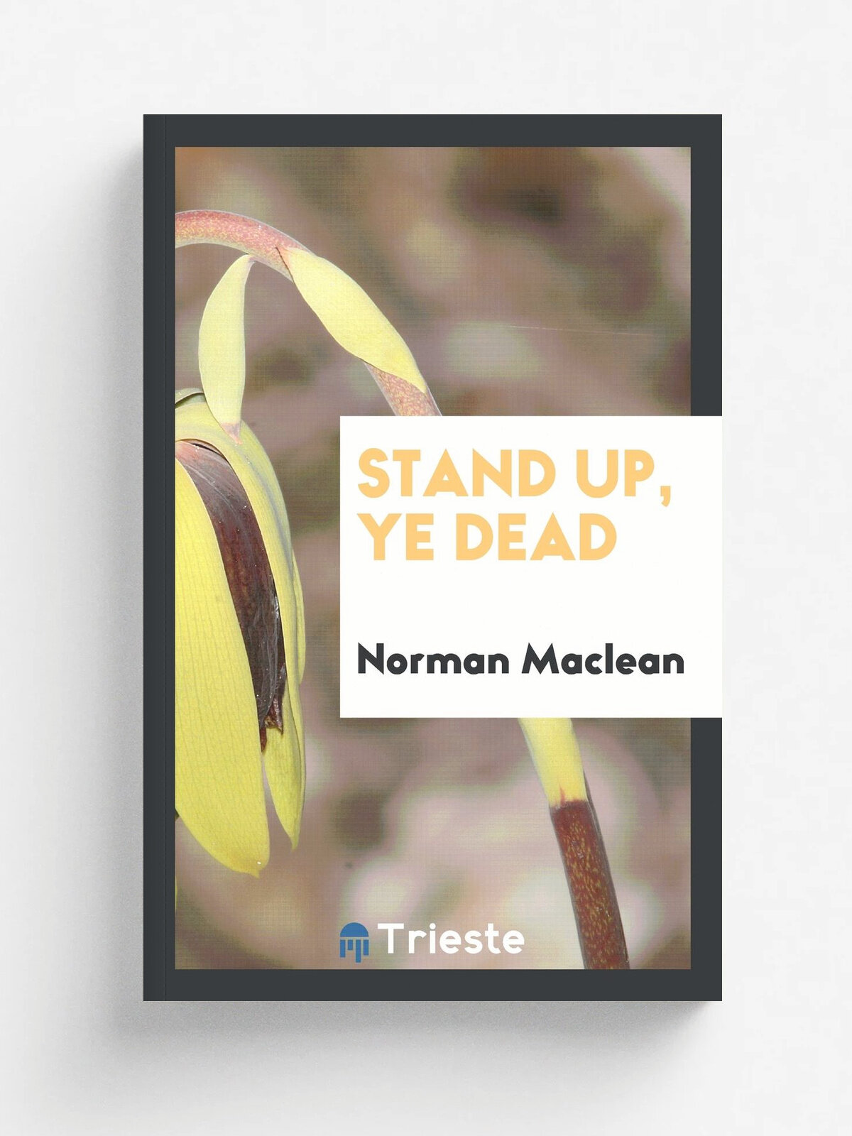 Stand up, ye dead