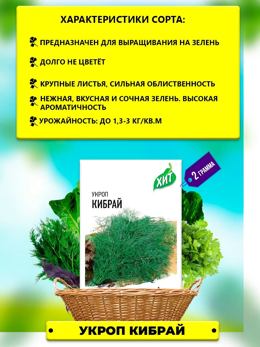 Семена укропа Кибрай, 2 г, на зелень, для открытого грунта, теплицы и дома — фото 1