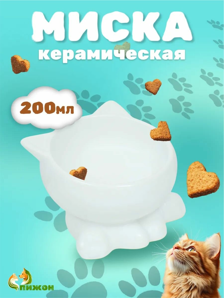 Миска для кошек керамическая, на подставке, 200 мл, 13х12х8 см