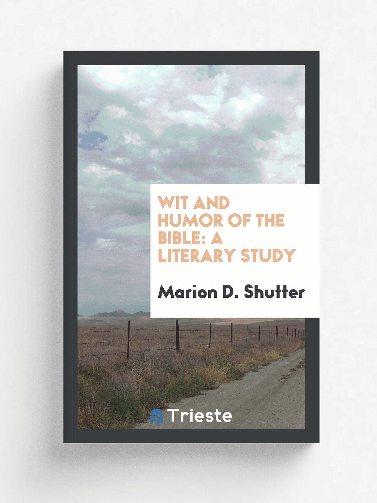 Wit and Humor of the Bible. A Literary Study
