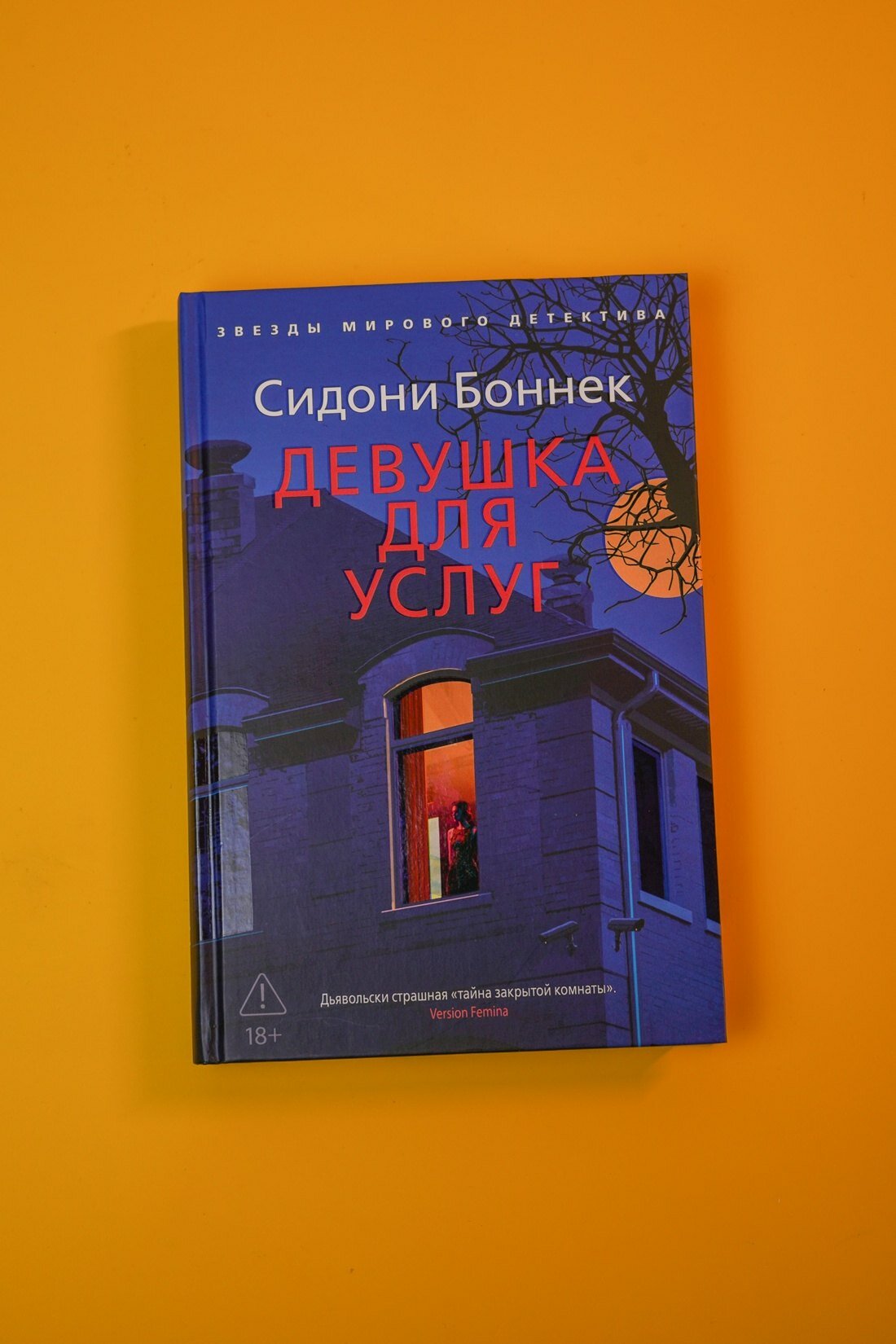 Девушка для услуг — фото 1