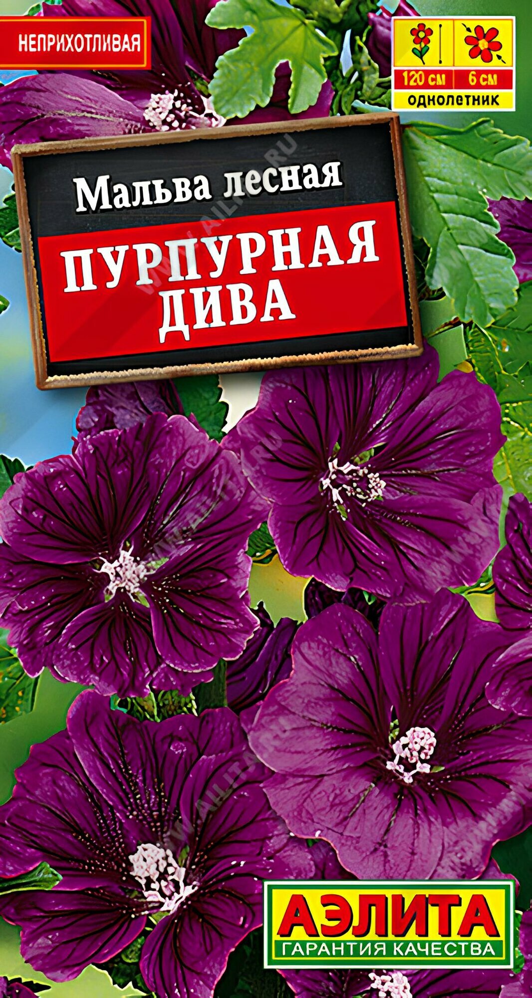 Семена Мальва Пурпурная дива (0,1 г), высота до 120 см, Агрофирма Аэлита