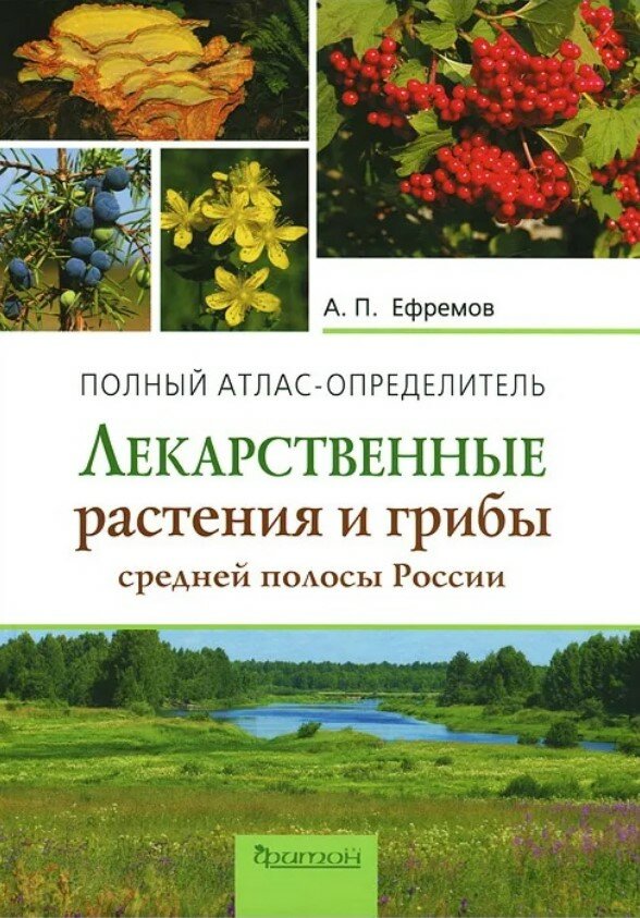 Лекарственные растения и грибы средней полосы России