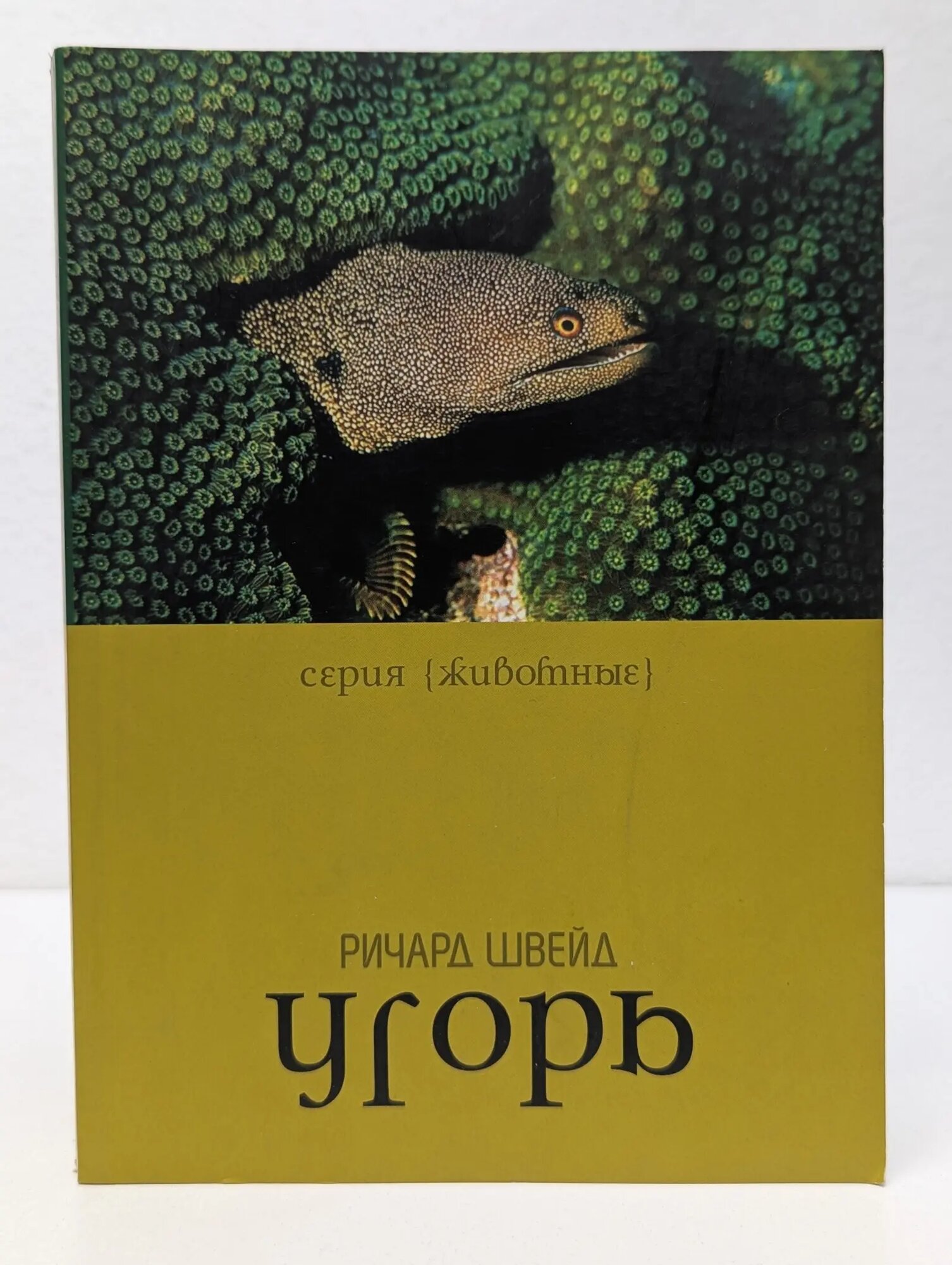 Животные. Угорь Швейд Ричард 2011