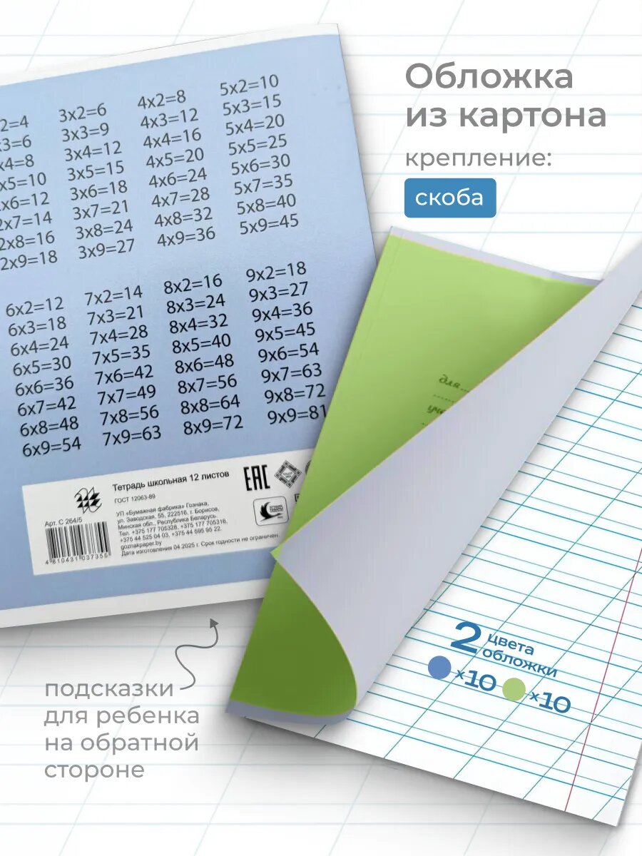 Тетрадь школьная в косую линейку 12 листов, набор 10 шт, зеленый/голубой