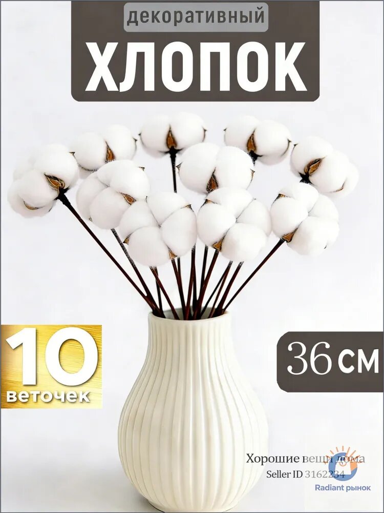Сухоцветы Хлопок, 36 см, 10 шт