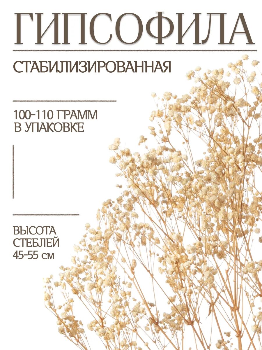 Сухоцветы классика, Гипсофила стабилизированная бежевая 100 г, для декора и интерьера