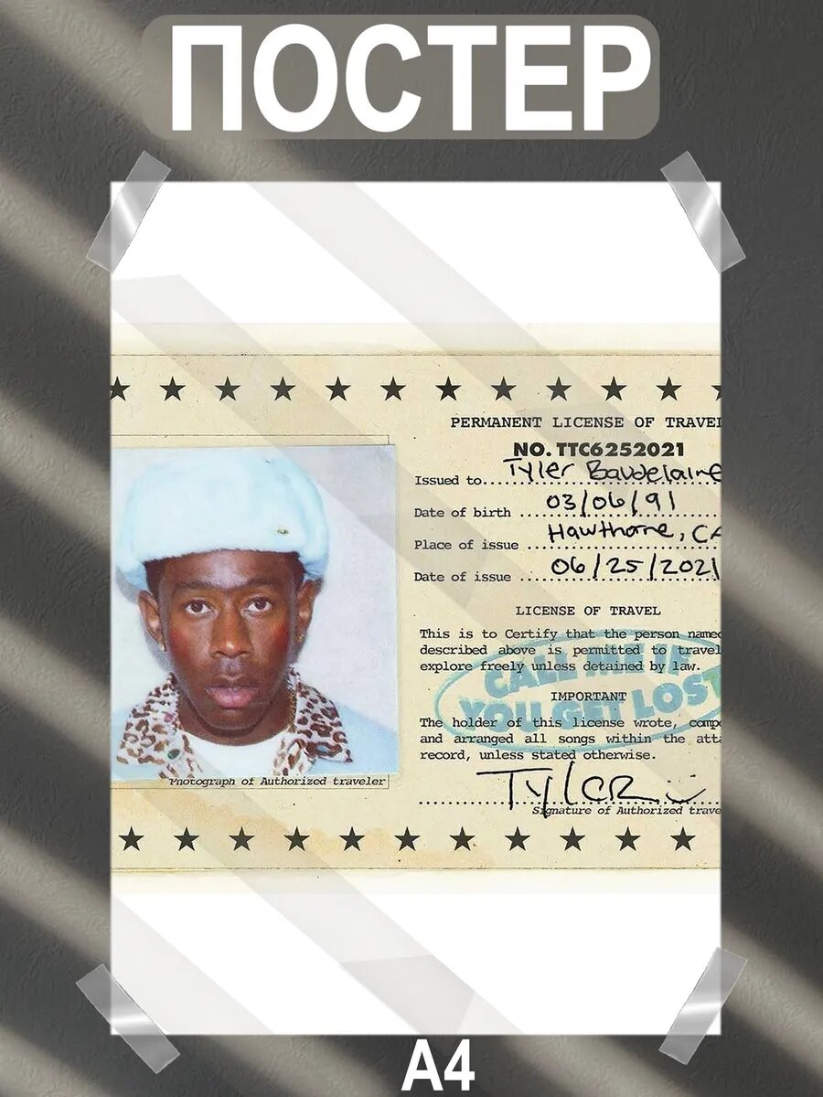 Постер интерьерный на стену а4 tyler the creator