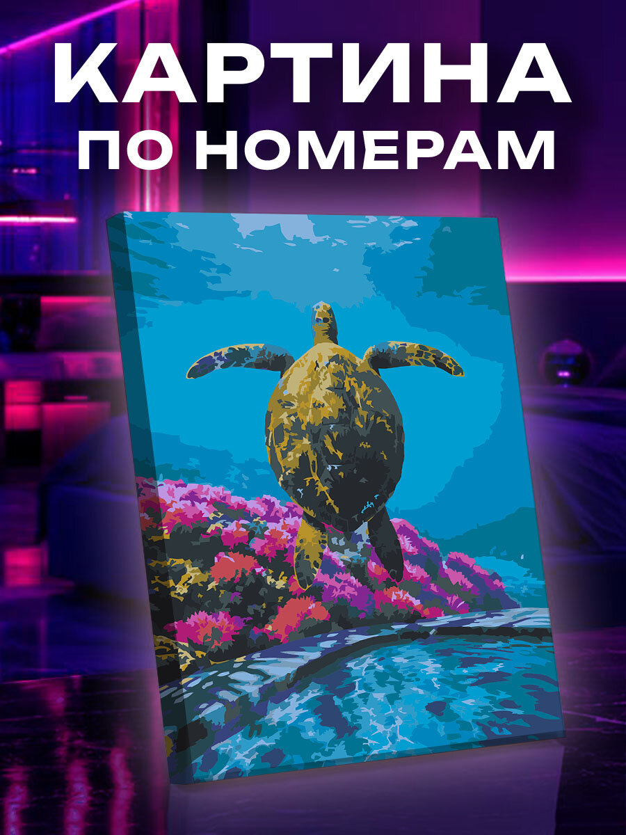 Картина по номерам Черепаха над неоновым рифом