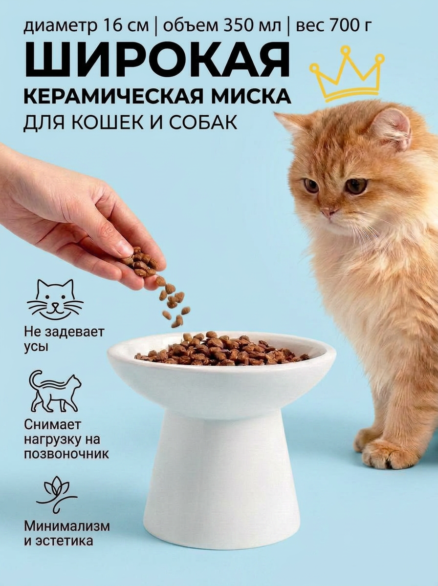 Широкая миска из керамики высокая 350 мл для котов и собак/Миска для животных анатомическая/Керамическая миска для кошек