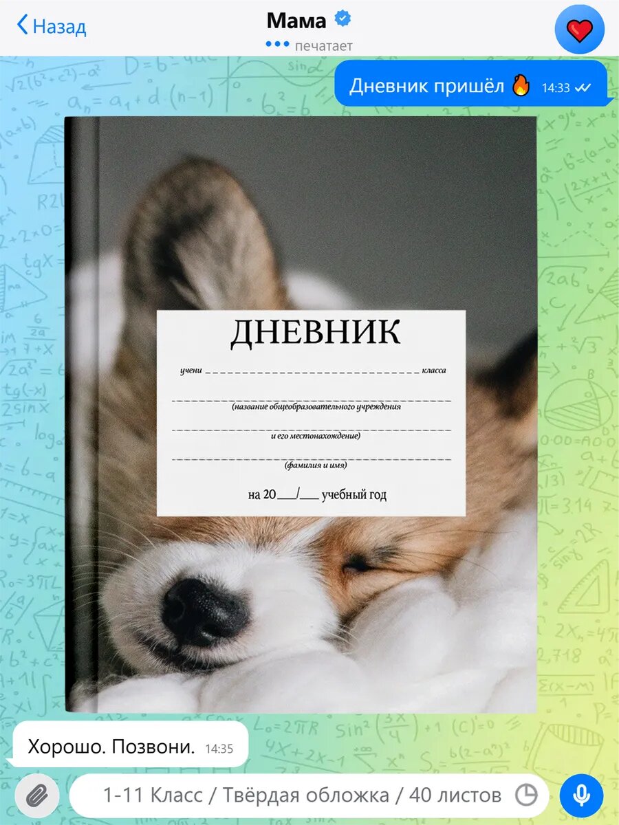 Школьный дневник с принтом Роблокс