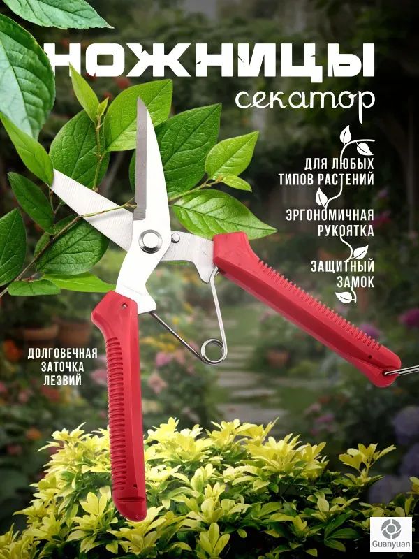 Сучкорез
