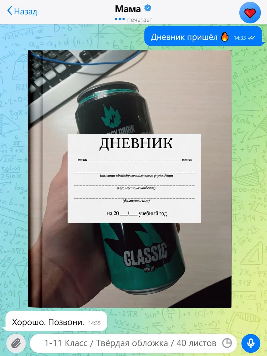 Школьный дневник с принтом Роблокс