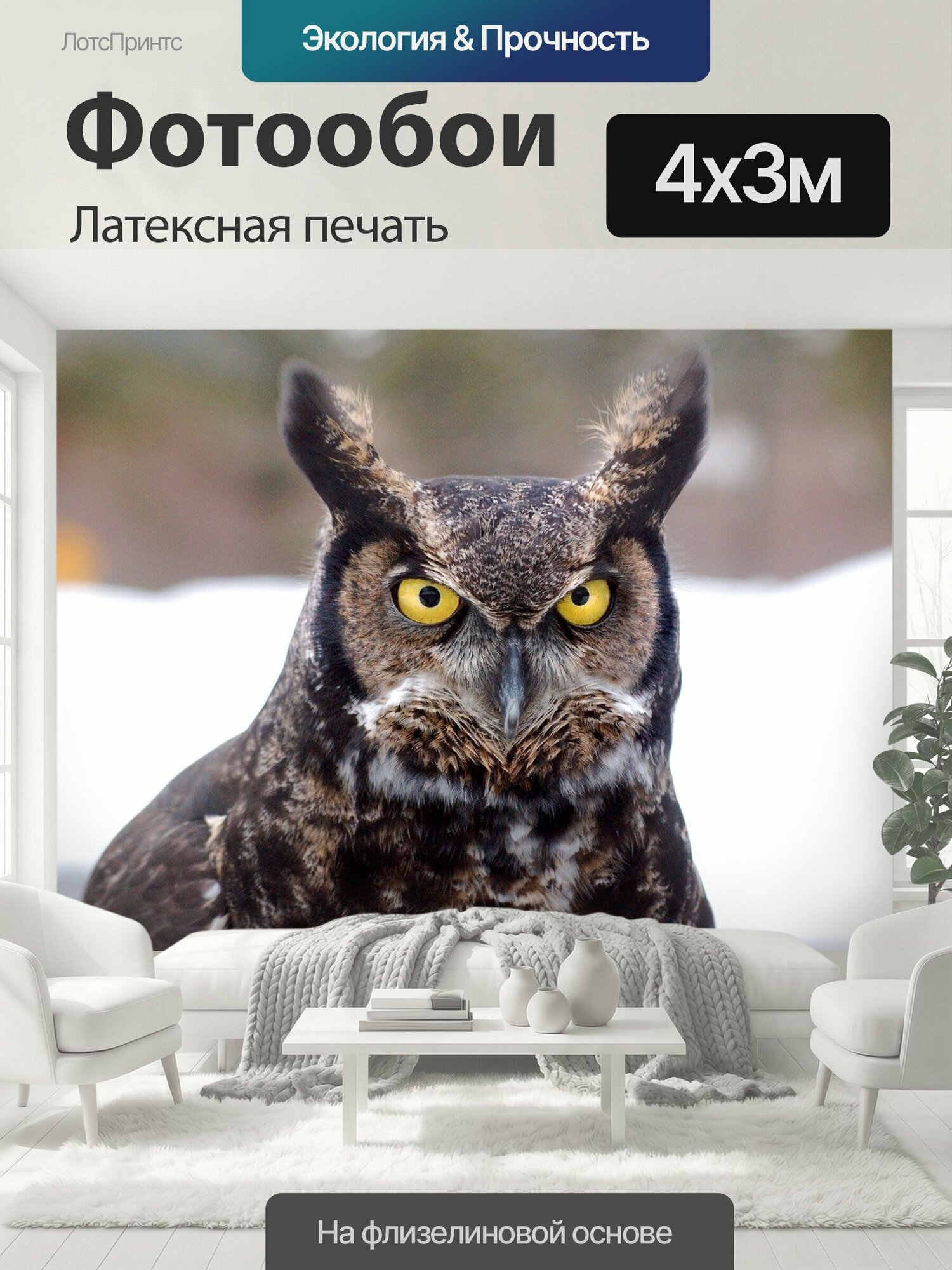 Фотообои моющиеся ударопрочные "Большая рогатая сова, птица, сова" 400x300 см. латексная печать