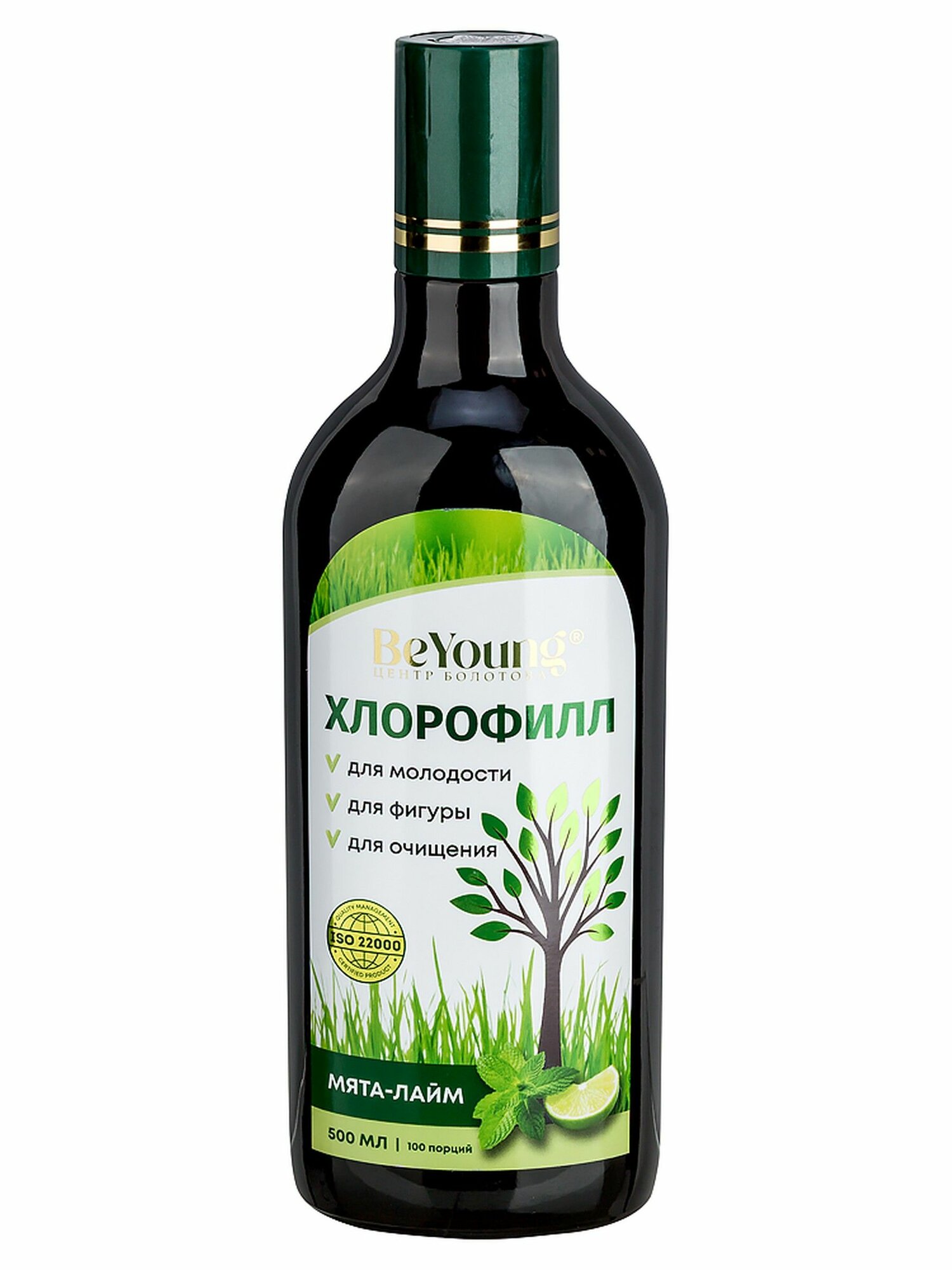 Beyoung Хлорофилл жидкий 500мл флак (мята-лайм)
