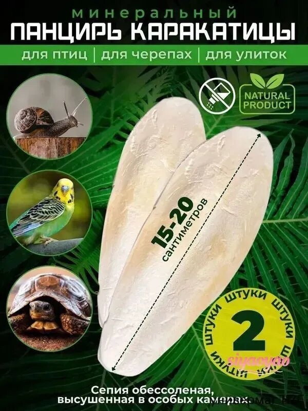Сепия 2 шт - Панцирь каракатицы 15-20 см, натуральный продукт для птиц, грызунов