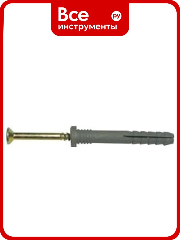 Дюбель-гвоздь SWFS 8L100, 2 шт. пакетик тов-187572