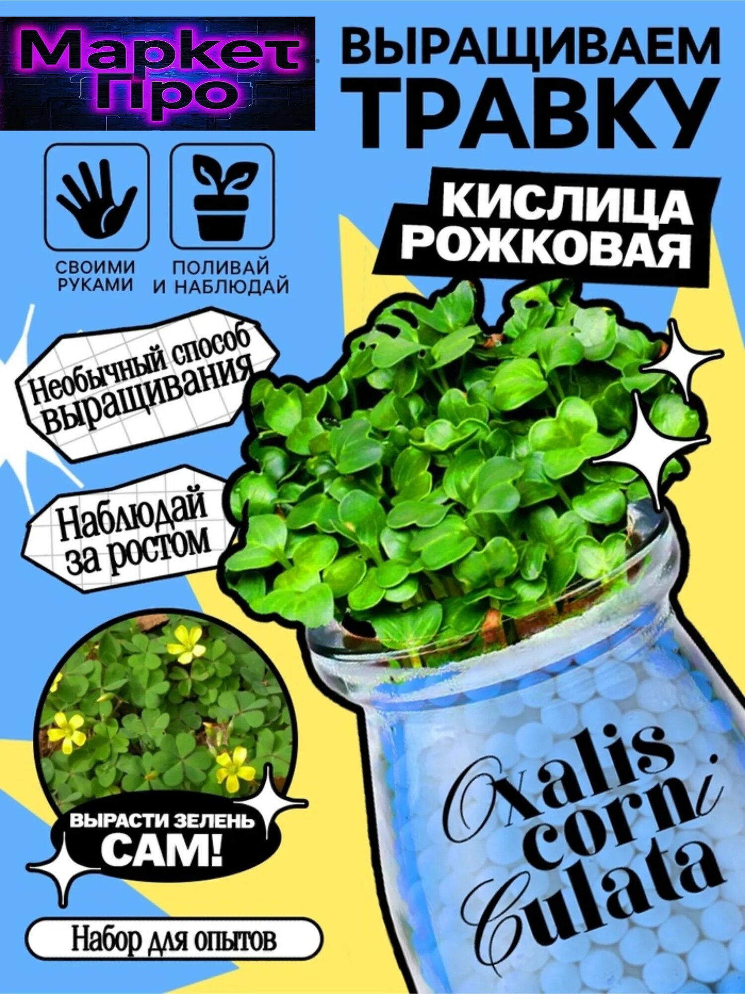 Опыты и эксперименты "Выращиваем травку" / детский набор для выращивания растений