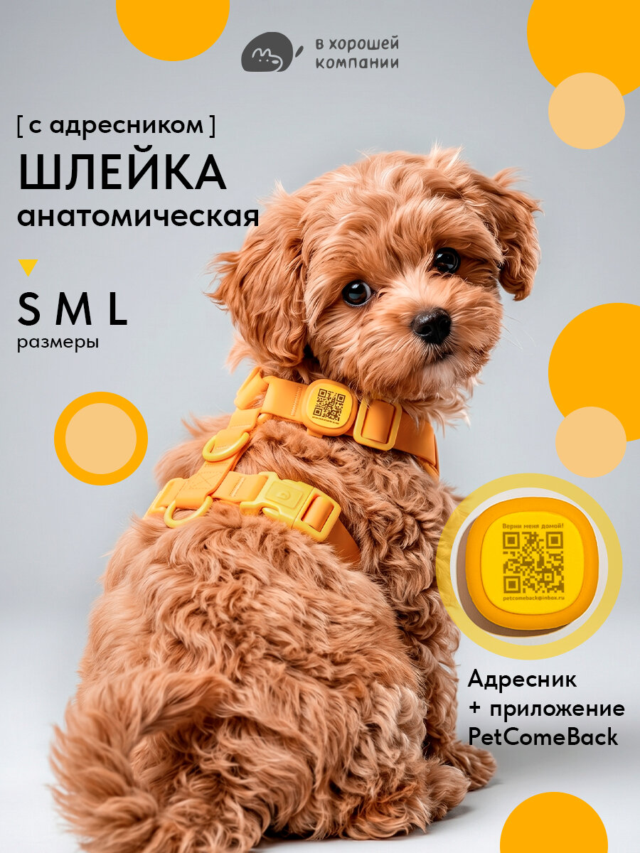 Анатомическая прогулочная шлейка для собак мелких пород IN GOOD COMPANY В хорошей компании (S / желтый / неотан)