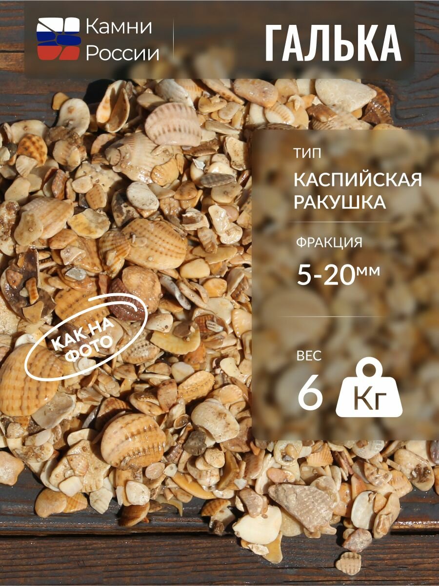 Галька Каспийская Ракушка (5-20мм, упаковка - 6кг)