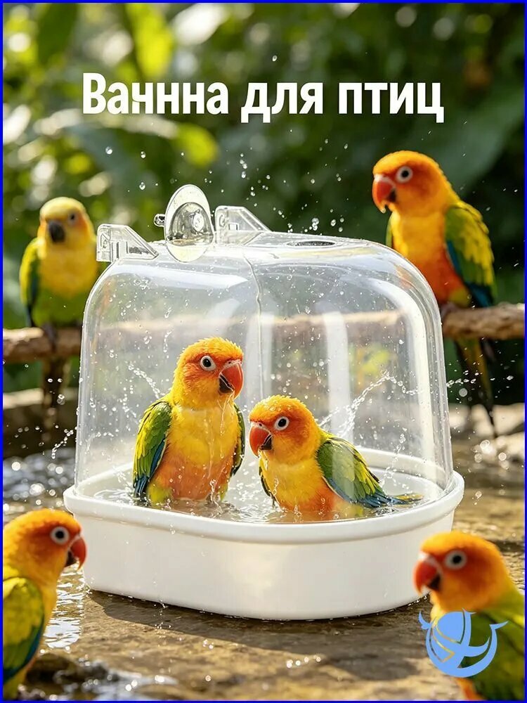 Качественная купель для попугаев и скворцов, используемая пернатыми