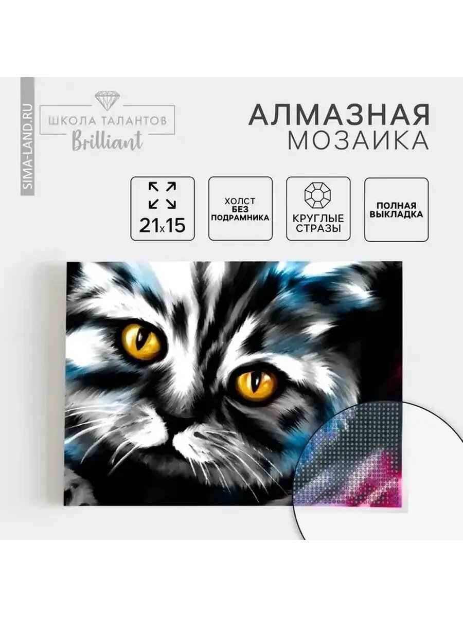 Творческий набор алмазной мозаики "Кот" 15х21 см