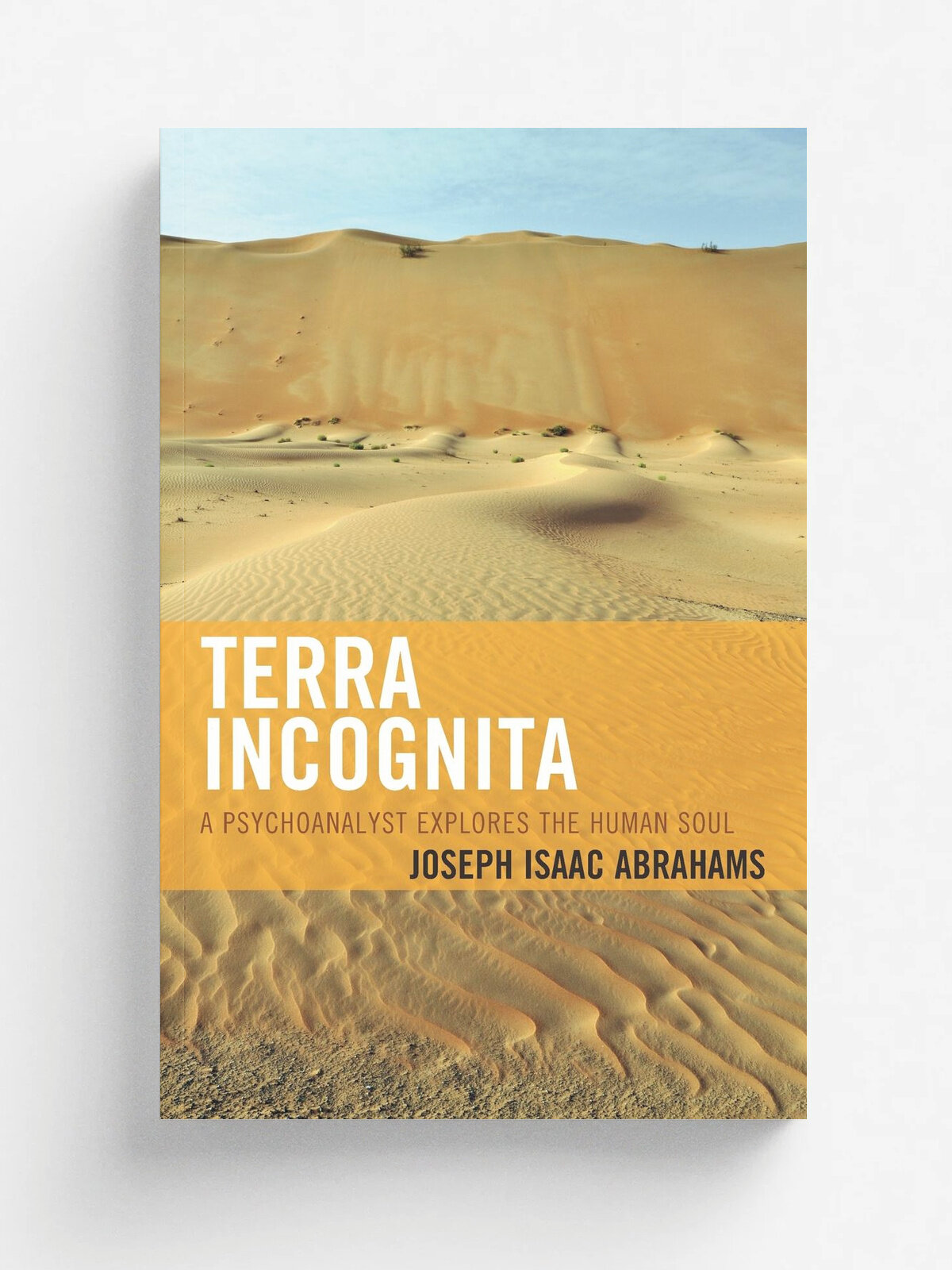 Terra Incognita. A Psychoanalyst Explores the Human Soul