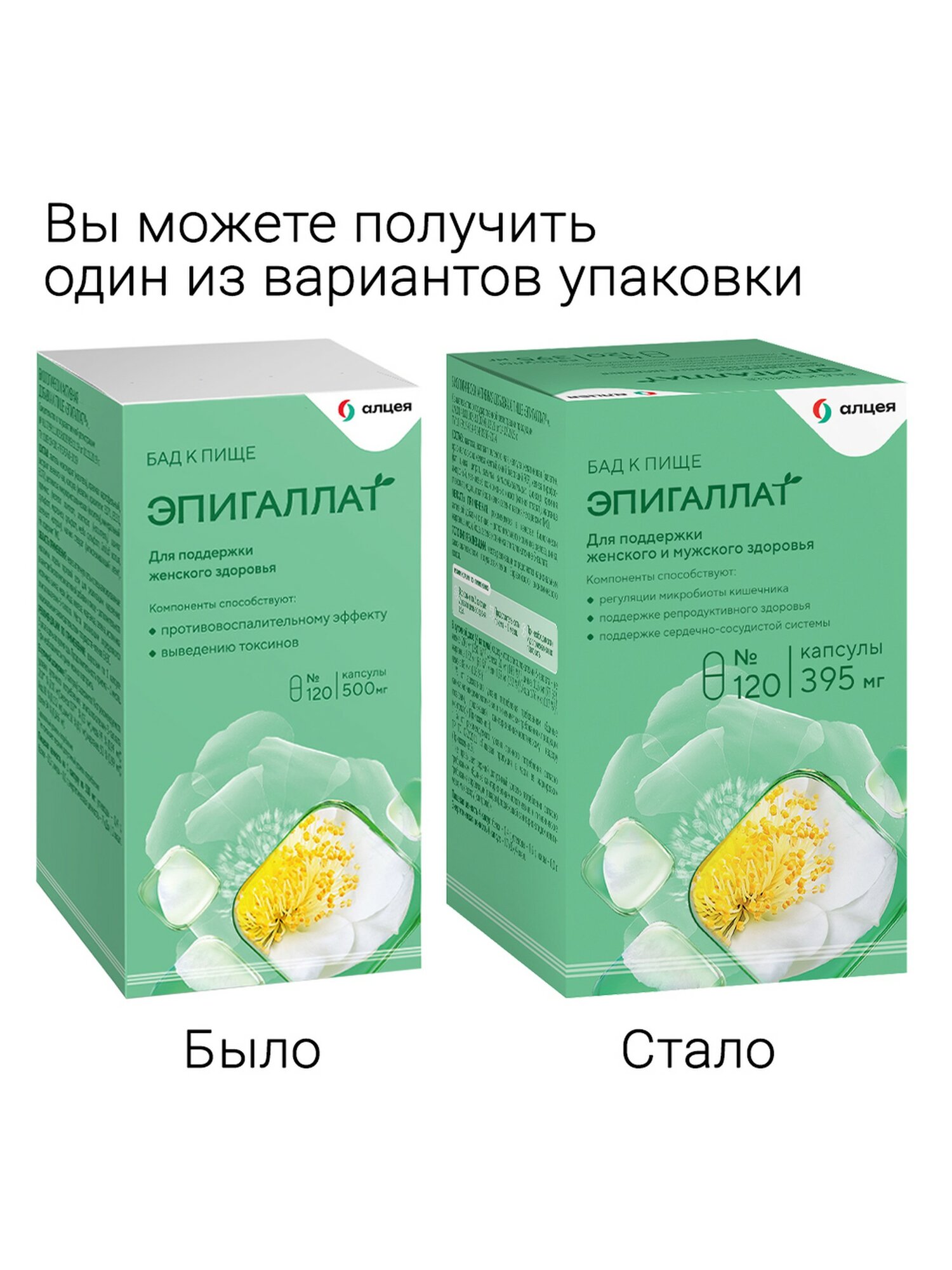 Эпигаллат N120 капс ПО 395МГ — Капсулы массой 395 мг - 120 шт в уп. — фото 1
