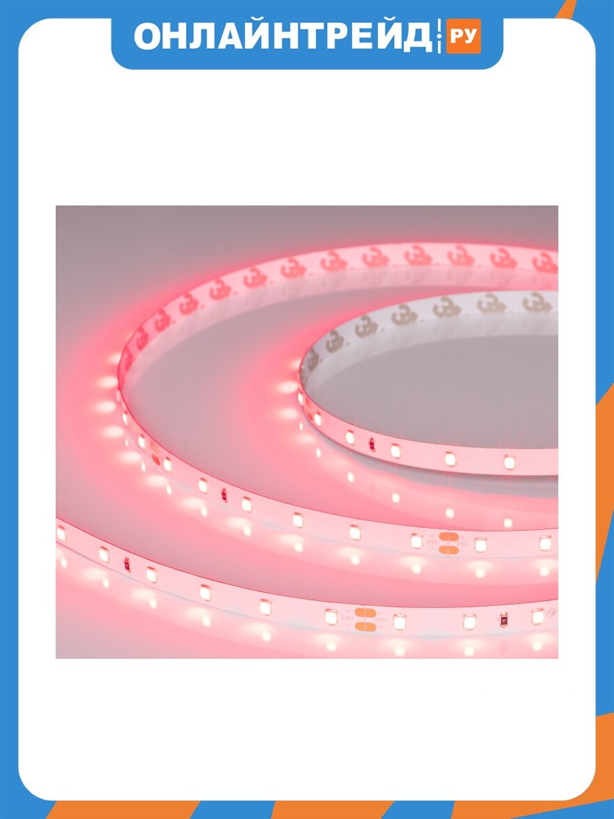 Светодиодная лента Arlight RT-A60-8mm 24V Ruby 4.8 W/m, IP20, 5m (Упаковка 5 метров)