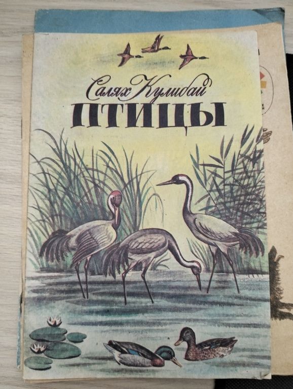 Кулибай Салях. Птицы.