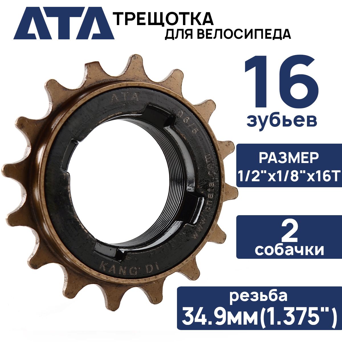 Трещотка ATA KDF-055B, 1/2"х1/8"х16Т, резьба 1.375"-24T, (34,9мм), 2 собачки, 4 шлица,