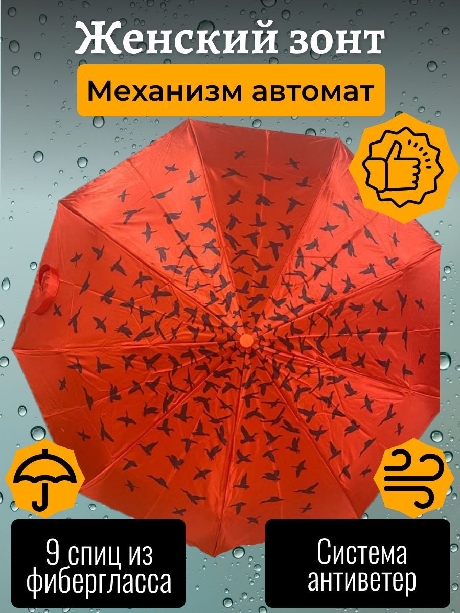 Зонт