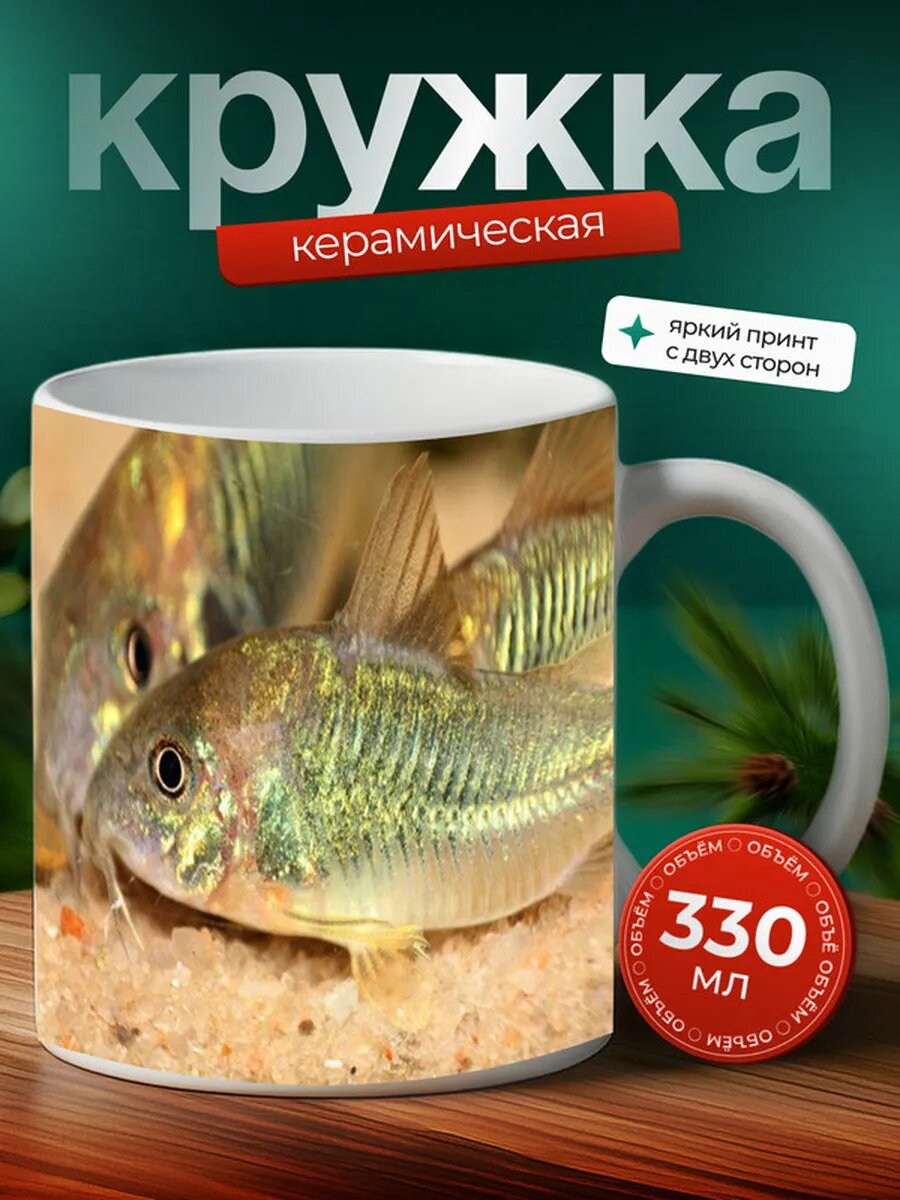 Кружка Сомик-коридорас рыбка 8,
