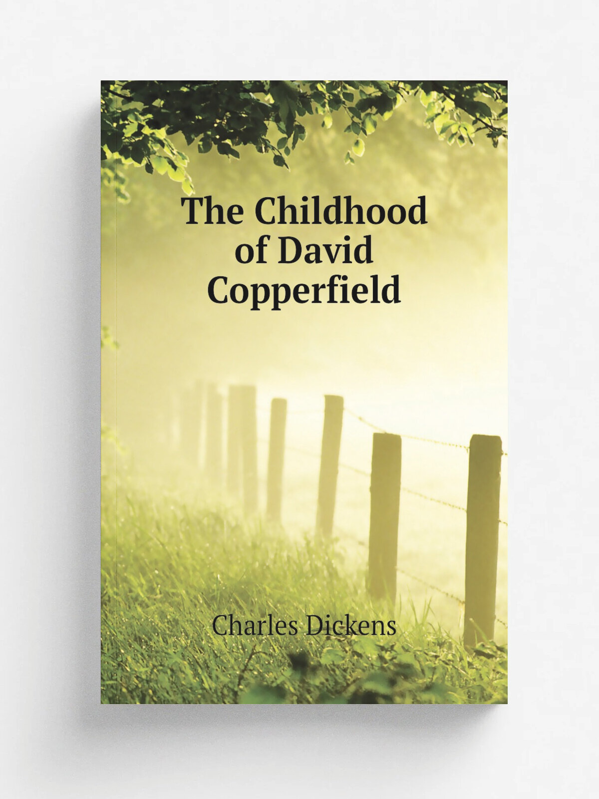 The Childhood of David Copperfield