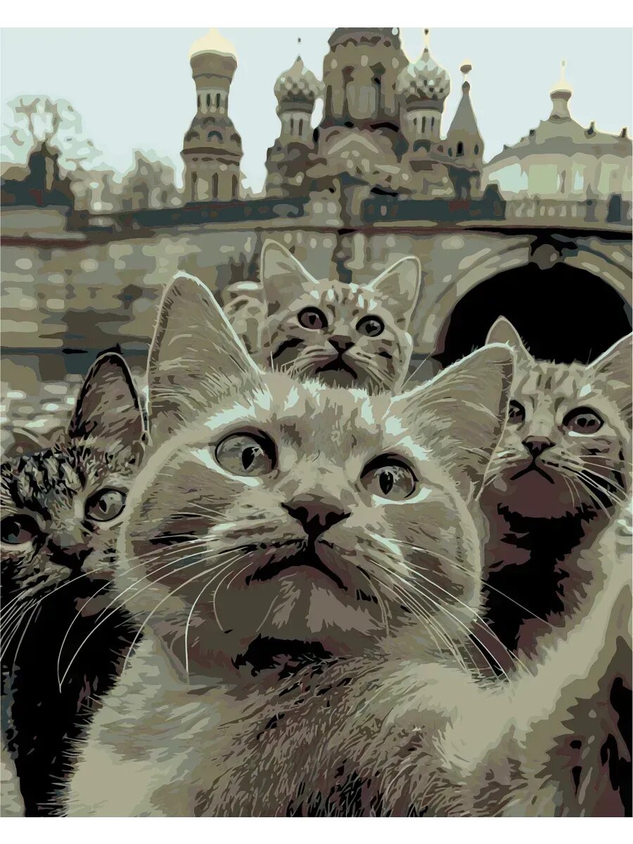 Картина по номерам 30x40 Московские коты